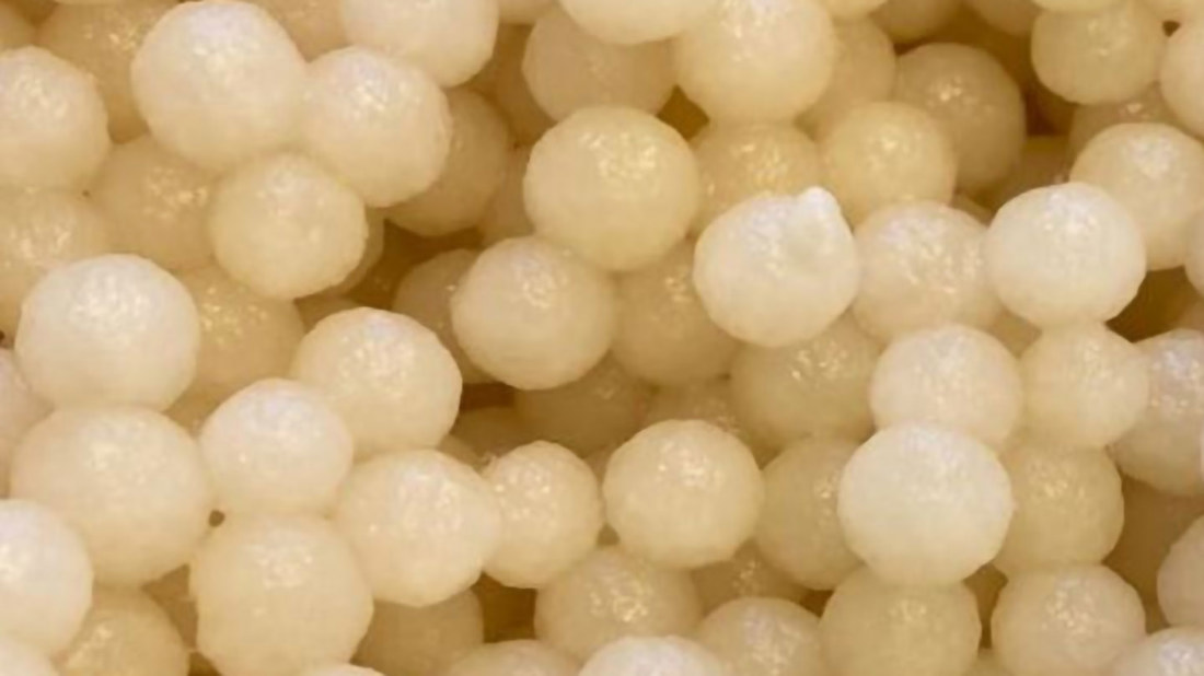 How manure can be transformed into animal feed - University of Borås